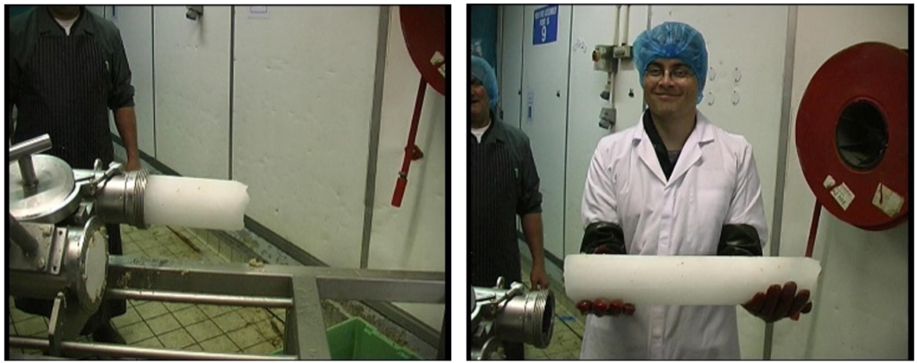 Use of an Ice Pig to Help Reduce and Remove Active Contamination ...