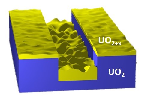 Storage of Nuclear Fuel: Radiolytic Dissolution at the UO2/H2O ...